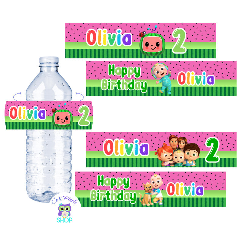 Cocomelon Juice Box Labels - Cocomelon Drink Labels – Cute Pixels Shop